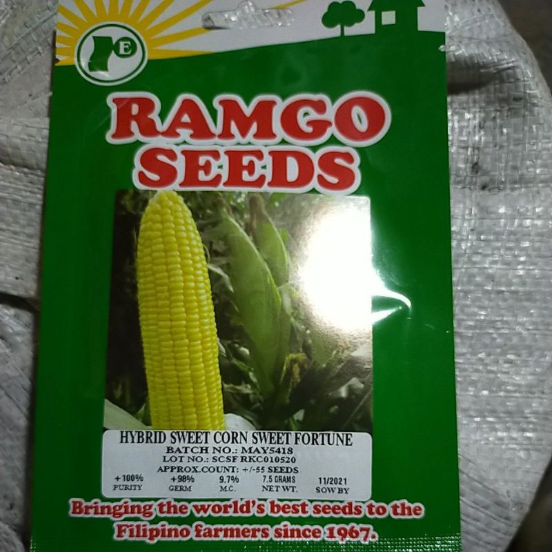 YELLOW CORN RAMGO 55SEEDS | Shopee Philippines