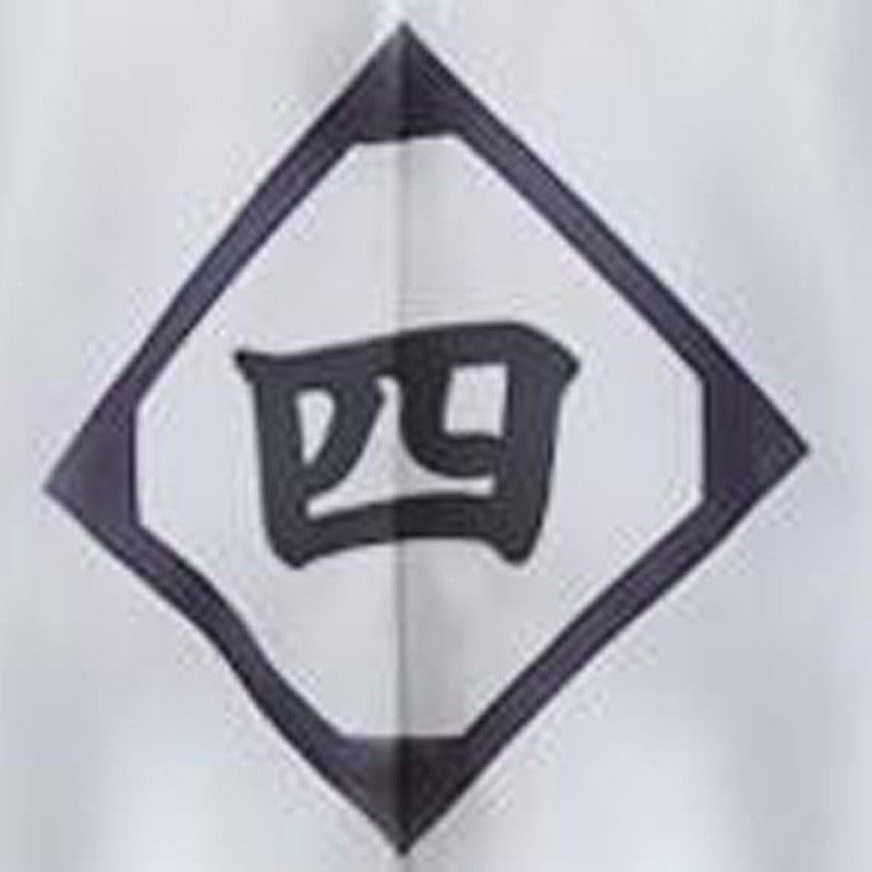 BLEACH White Haori Cosplay Costume From 1st to 13th Division Captain ...