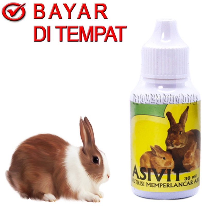 Asivit Rabbit VITAMIN Breastfeeding Learning Induction Breast Milk ...