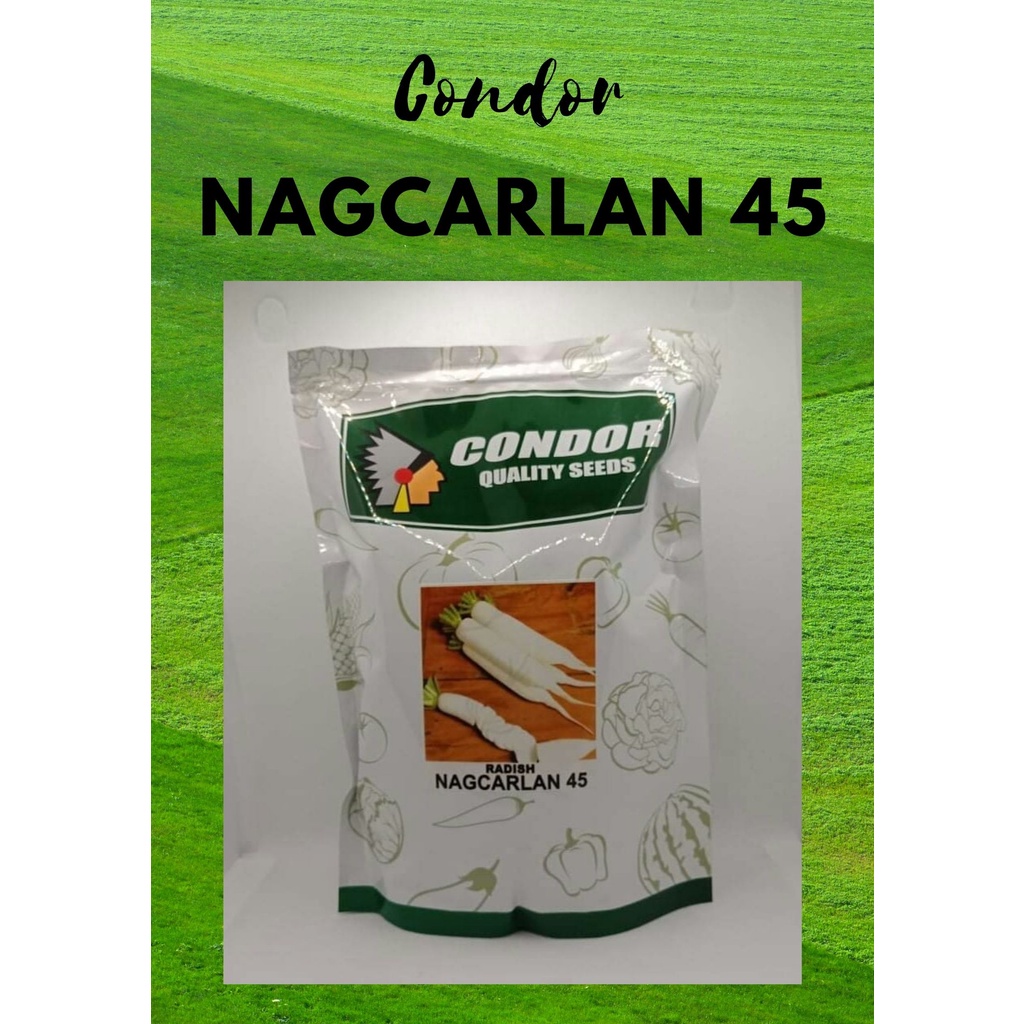 Condor Seeds Radish NAGCARLAN 45 LABANOS 1Kg | Shopee Philippines