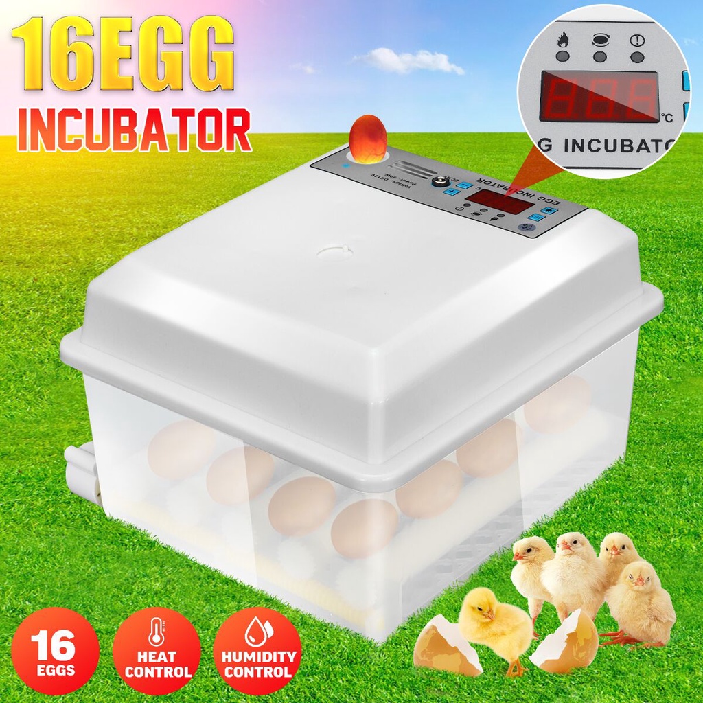 110-220V 16eggs Poultry Hatchery Machine Hatching Mini Brooder Small ...