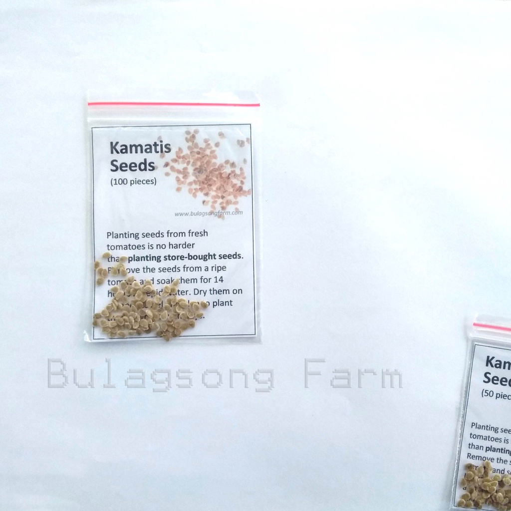 Buto ng Kamatis (Tomato seeds) 10pcs /25pcs / 50 pcs / 100pcs | Shopee ...