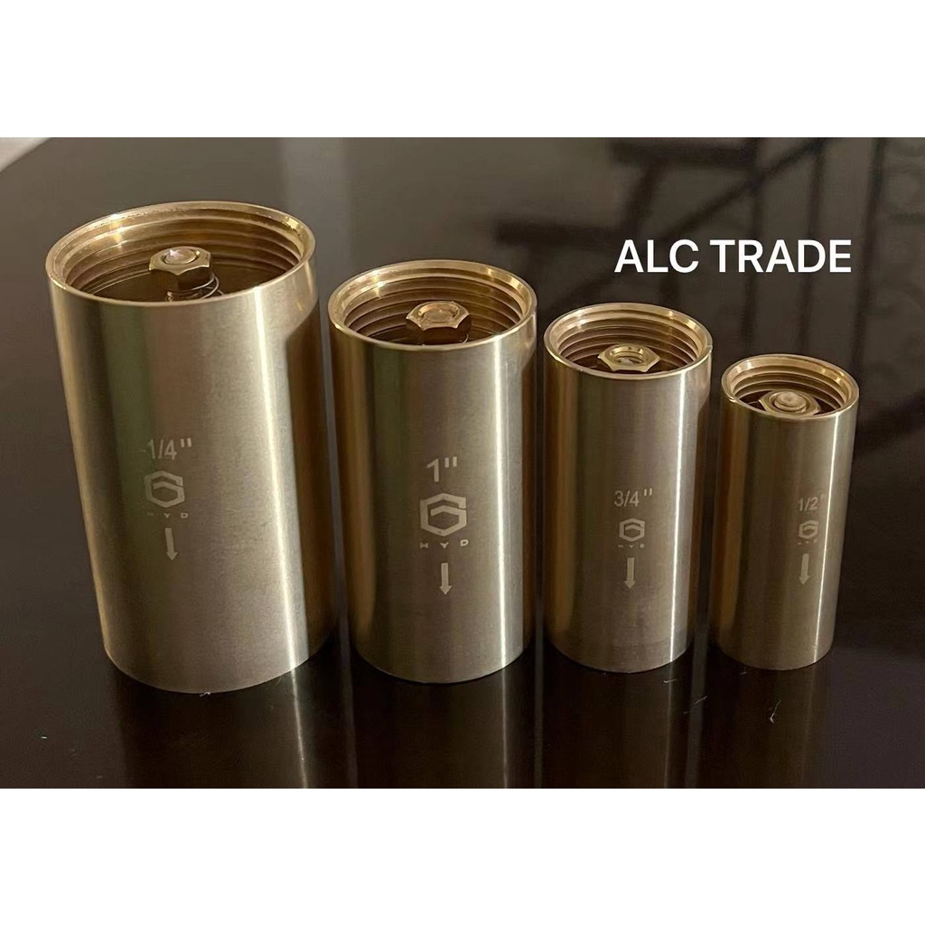Solid Brass Spring Check Valve (SIZES: 1/2, 3/4, 1, 1-1/4 INCHES ...