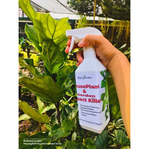 HousePlant & Garden Insect Killer / Plant Spray Bottle for Insects ...