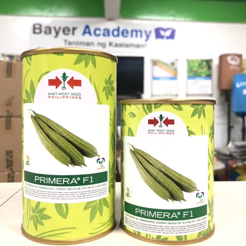 EAST WEST PRIMERA F1 HYBRID PATOLA SPONGE GOURD SEEDS (100g/50g ...