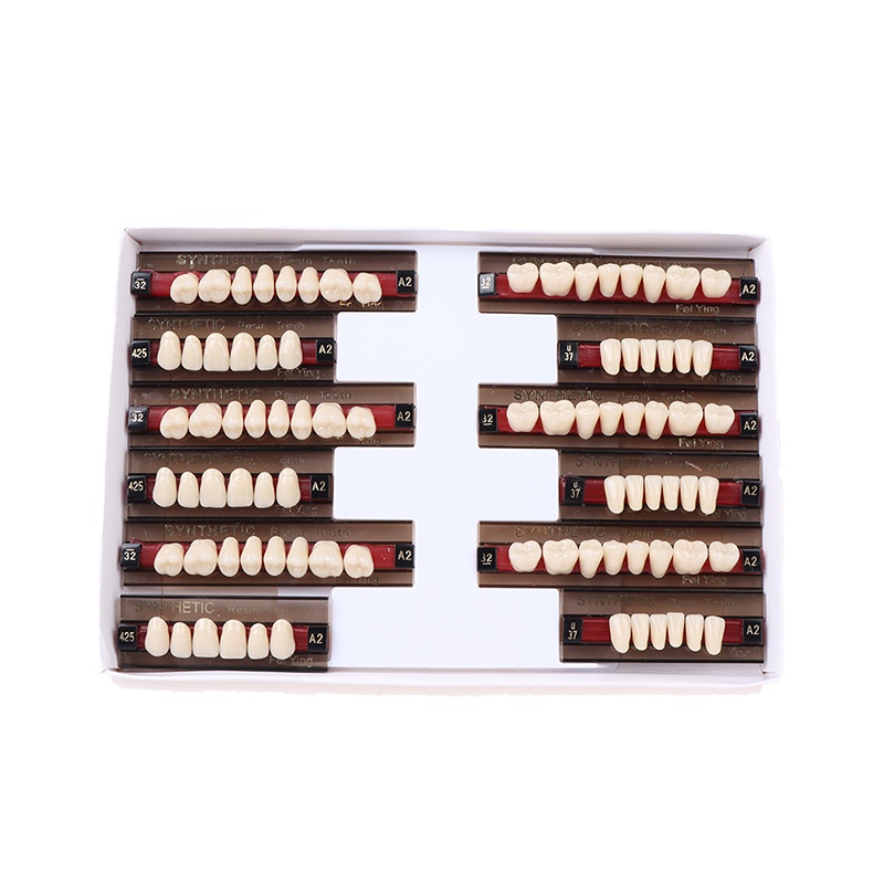 84 Pcs/Box Dental Synthetic Polymer Teeth Full Set Resin Denture False ...