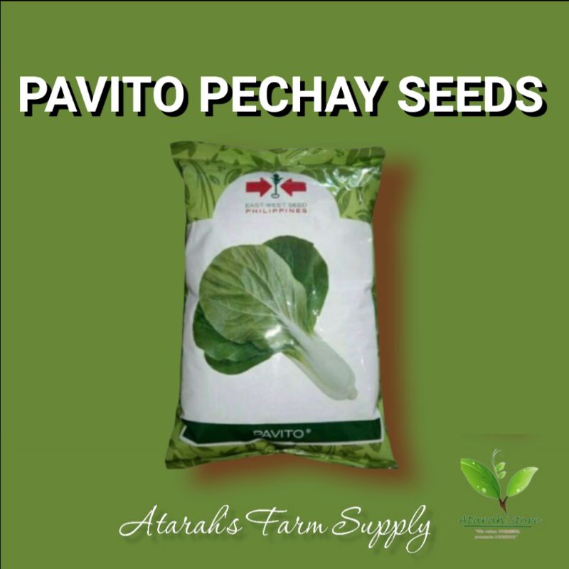 PAVITO & PAVO Pechay (1kilo) East West Seeds | Shopee Philippines
