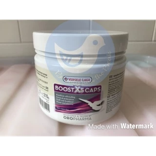 oropharma - Best Prices and Online Promos - Apr 2024 | Shopee Philippines