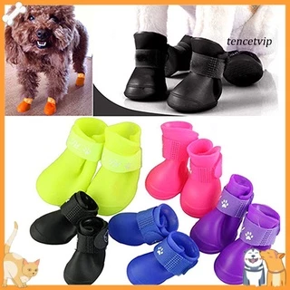 cat shoes - Best Prices and Online Promos - May 2024 | Shopee Philippines