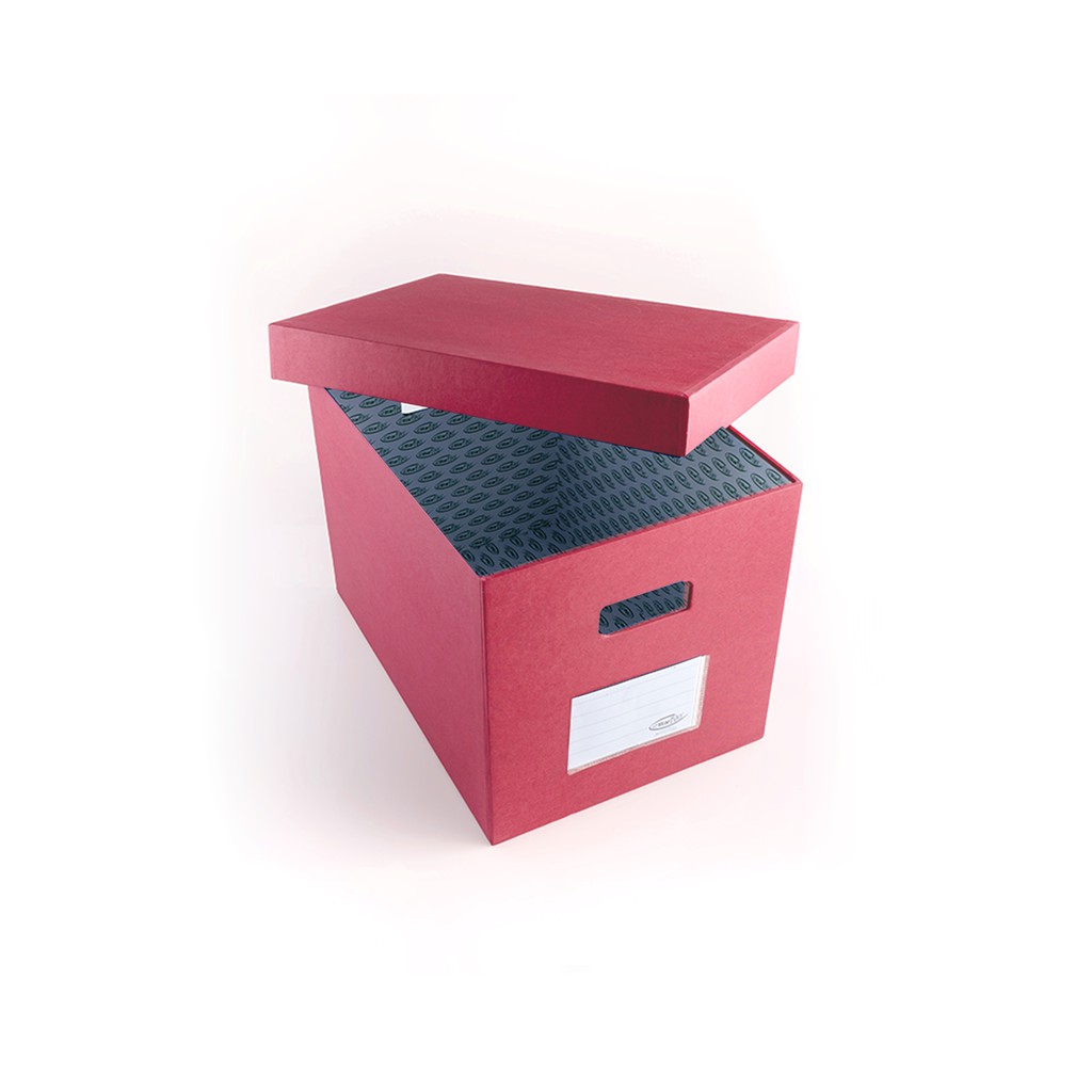 Starfile Storage Box - ( Arlin/ Buffalo Skin) | Shopee Philippines