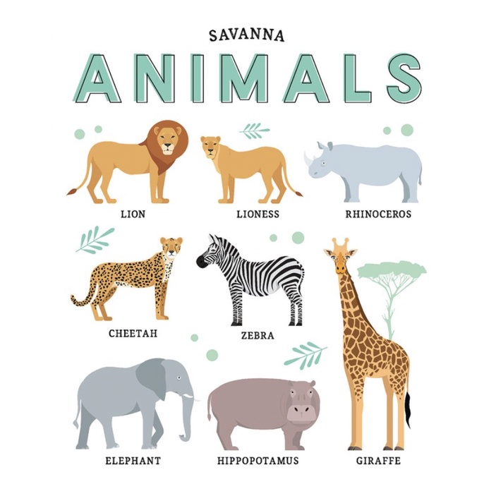 A4 Laminated Animal Educational Posters, Arctic Tropical Rainforest ...