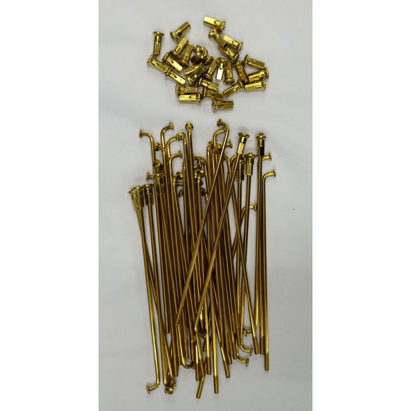 RTG - SPOKES / RIOS - 9G X 155 MM GOLD - HIGH QUALITY MOTOR PARTS ...