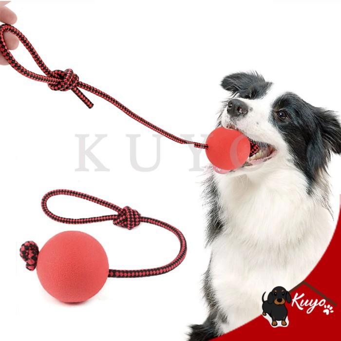 Dog Rope Bite Rubber Ball Bite Toy/ Dog Rope Bite Rubber Toy | Shopee ...
