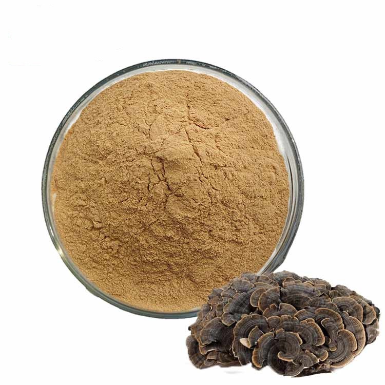 Turkey-Tail-Mushroom Extract Powder 100-200g 50:1- Turkey-Tail-Mushroom ...