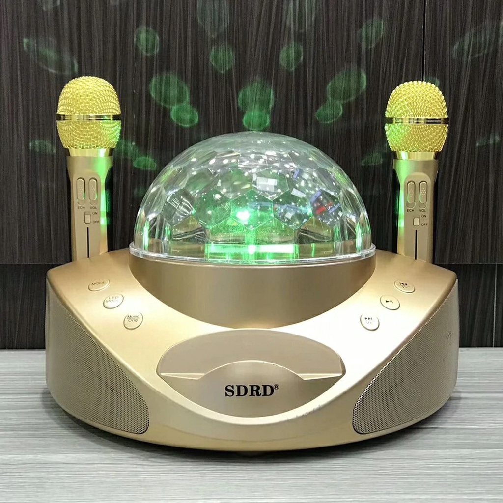 SDRD SD-308 LED Light Dual 2 Wireless Microphone Portable 3D Bluetooth ...