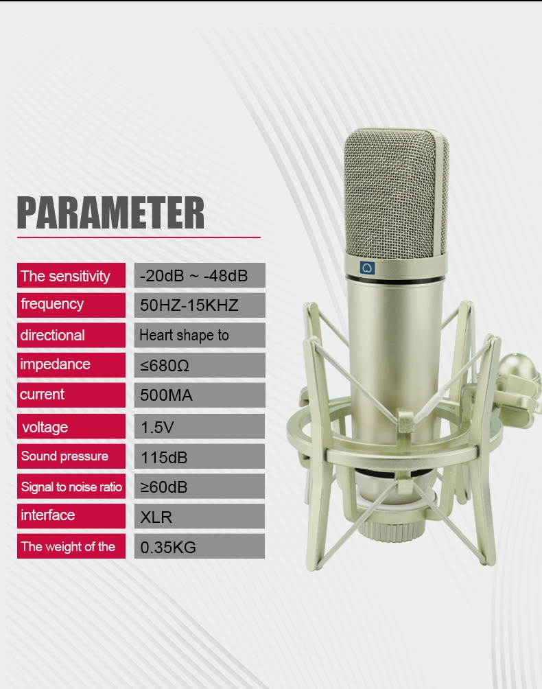 RAYHAYES Condenser microphone for professional studio Singer/microphone ...