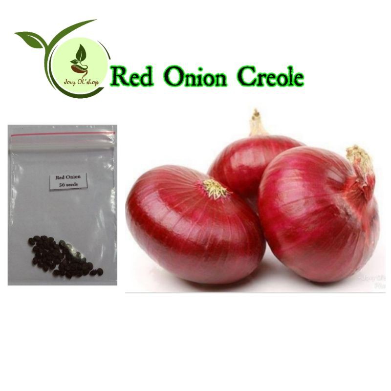 Red Onion Creole Variety 50-100 seeds | Shopee Philippines
