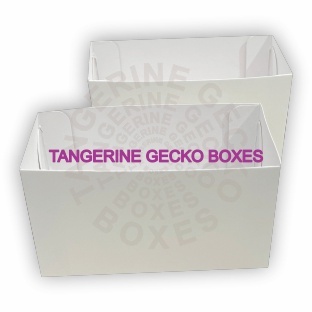KOREAN EGG DROP BOX / SANDWICH HOLDER (LARGE) (ALL WHITE) - 50 pcs ...
