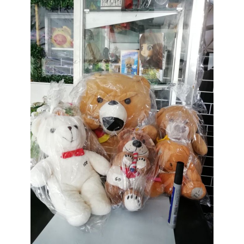 TEDDY BEAR BUNDLE (INCLUDING TED) | Shopee Philippines