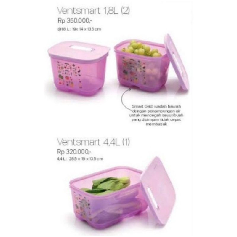 Ventsmart set Tupperware (preloved) | Shopee Philippines