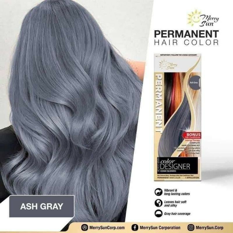 Ash Gray Merry Sun Permanent Hair Color | Shopee Philippines