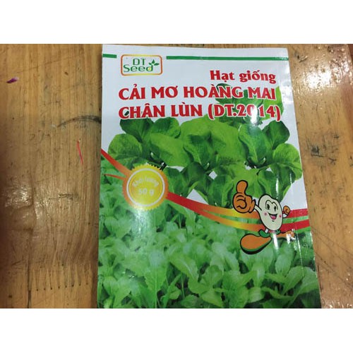 Dwarf Apricot Mustard Seeds 1kg - Vegetables and fruits grown in ...