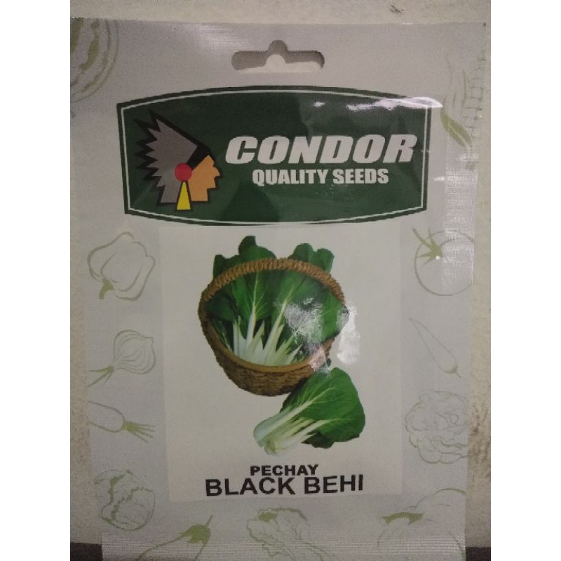 CONDOR SEEDS Pechay,Sitaw,Mustard,Okra,Bell Pepper,Upo,Talong,Onion ...