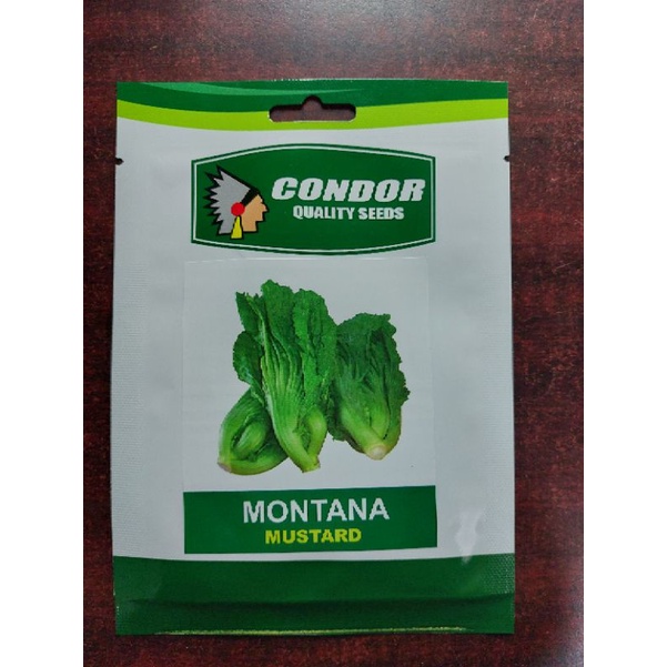 Montana (5 grams) Mustard / Mustasa by Condor | Shopee Philippines
