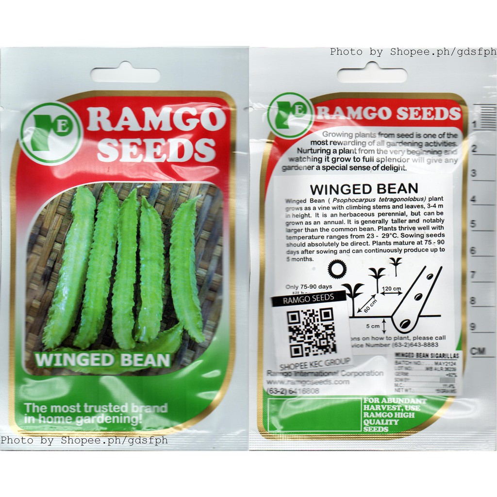 Ramgo RPO Seeds Baguio Bean, Lima Bean, Soybean, Winged Bean 15g ...