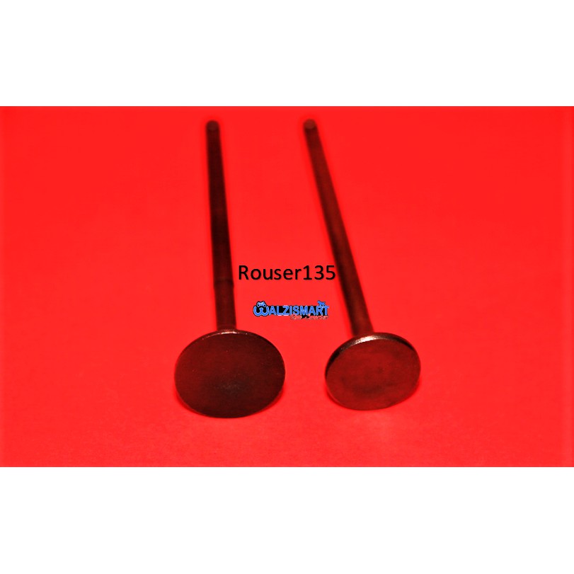 Engine/ Intake Valve ( ROUSER 135 ) | Shopee Philippines