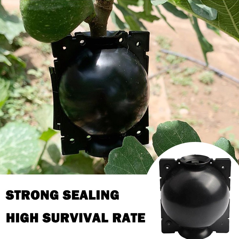 Plant Root Growing Box Grafting Sapling Breeding Case High Pressure ...