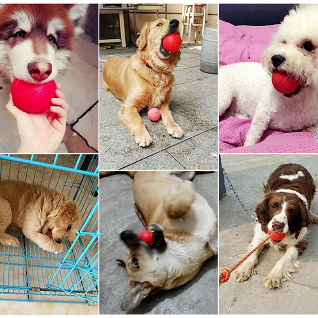 Solid Rubber Pet Dog Ball Training Teeth Chewing Bitting Elastic ...