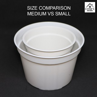 One Dozen (12pcs) Cactus and Succulent Flower Desk Pot, Cute Mini Taho ...