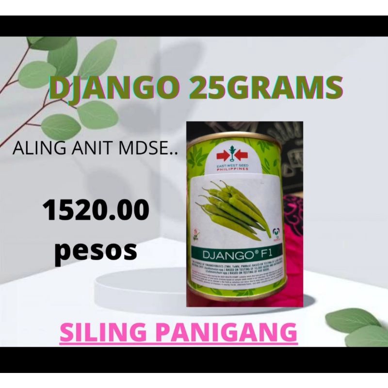 DJANGO 25GRAMS SILING PANIGANG | Shopee Philippines