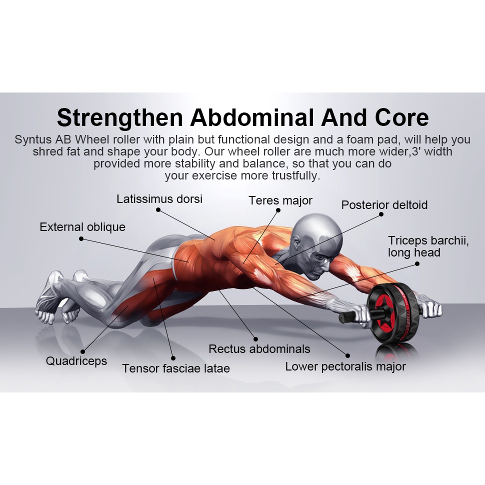 GYMMAJOR Plank Ab Roller Wheel, Abs Workout Equipment For, 43% OFF