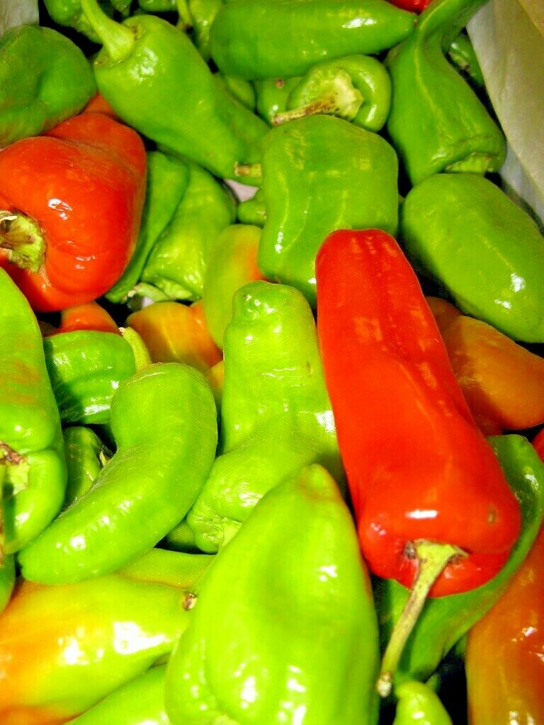 20pcs SWEET CUBAN PEPPER SEEDS RARE VEGETABLE COMBINED SHIPPING ...