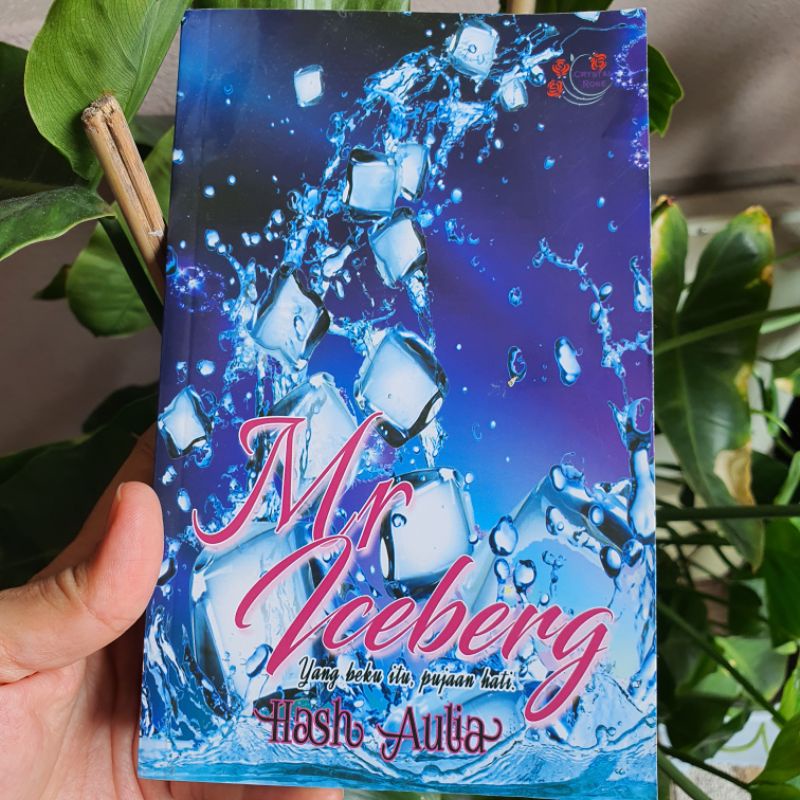 MR ICEBERG - Hash Aulia ( PRELOVED LIKE NEW ) | Shopee Philippines