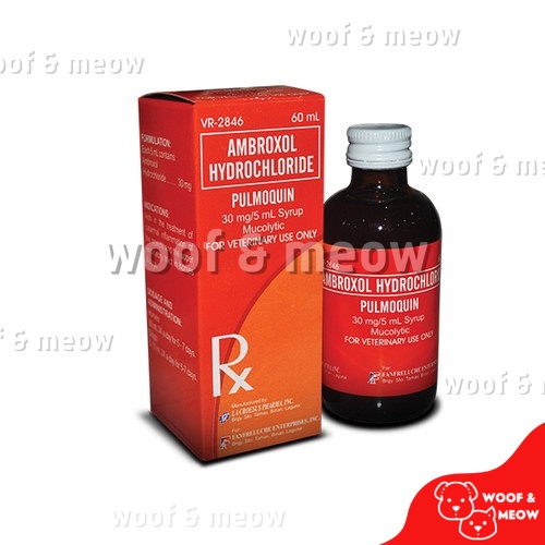 Pulmoquin Syrup Ambroxol for Pets | Shopee Philippines