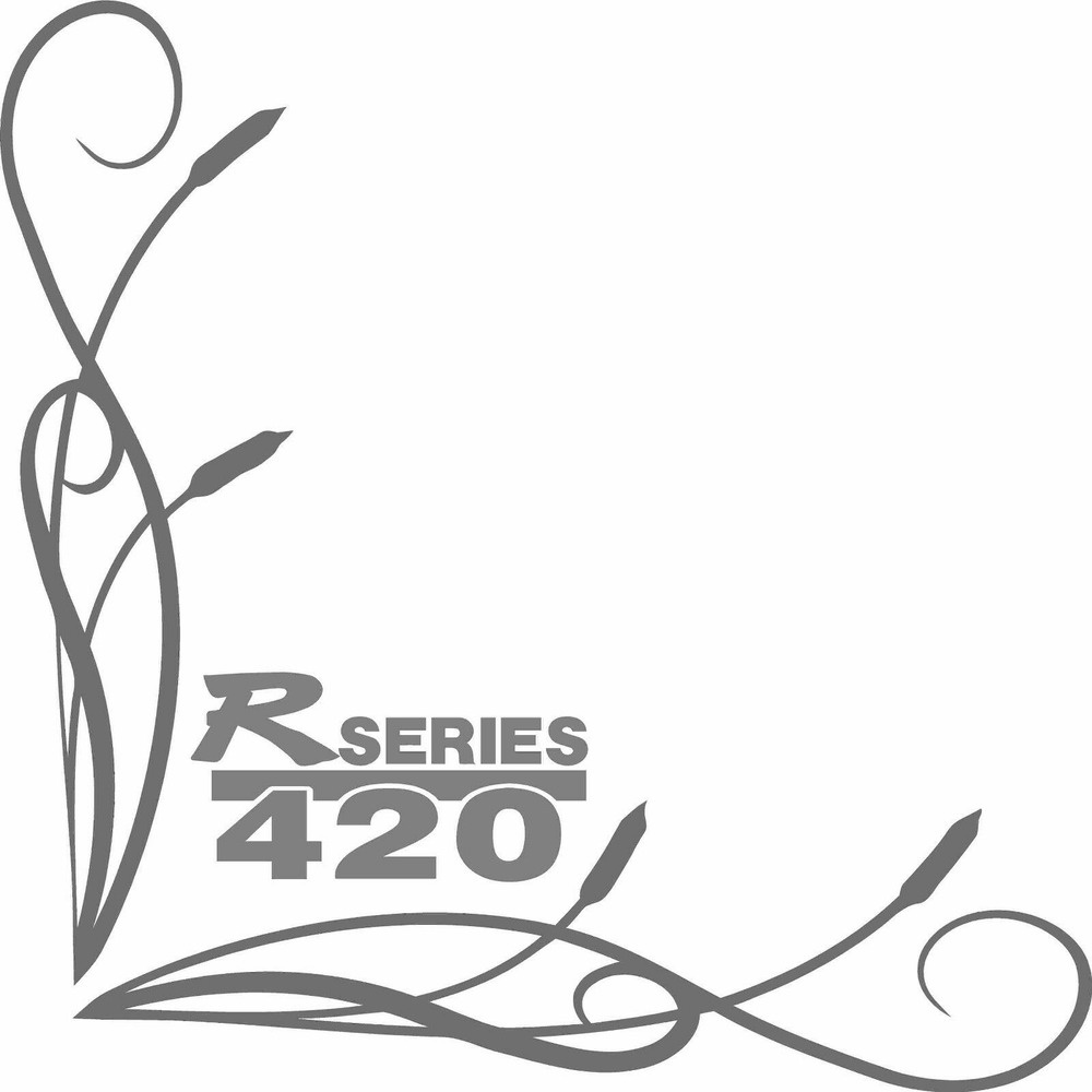 x2 Scania style R series 420 truck cab window stickers (pair) fine ...