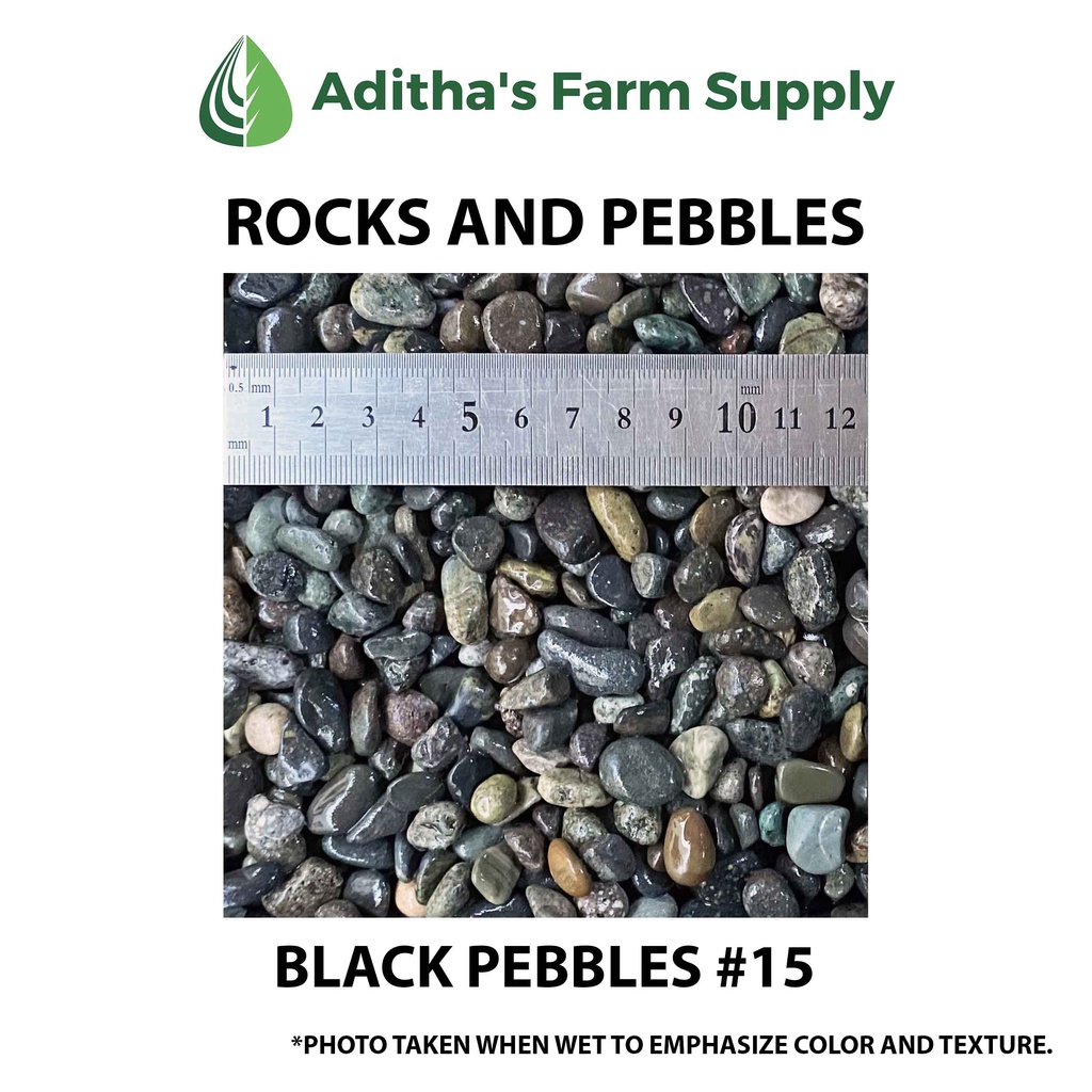 Rocks and Pebbles - 1 kilo | Shopee Philippines