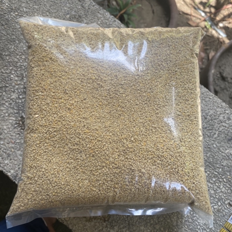 Integra 1000 with immuno booster packed | Shopee Philippines