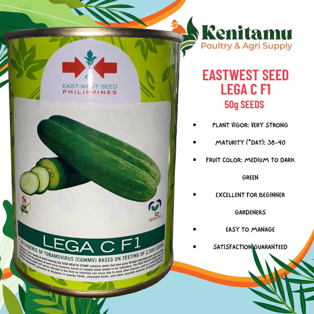 CUCUMBER LEGA C F1 50g BY: EASTWEST SEED | Shopee Philippines