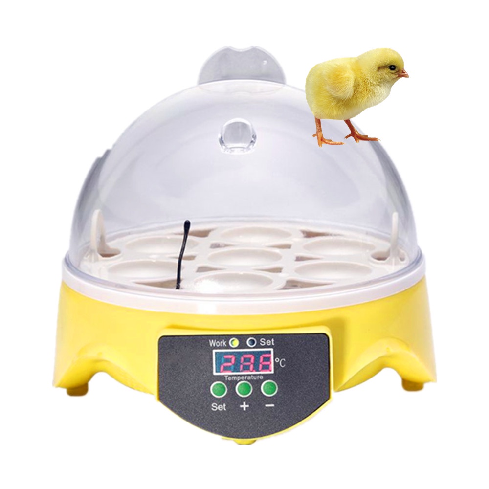 fully automatic mini incubators hatching eggs 7 egg incubator supply ...