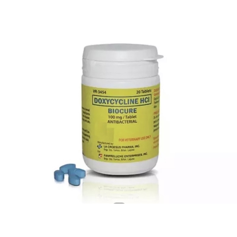Biocure Doxycycline for Pets 20 Tabs | Shopee Philippines