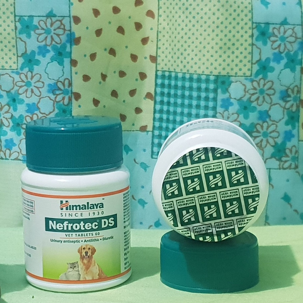 Himalaya Nefrotec DS Kidney Supplement for dogs and cats (60 tablets ...
