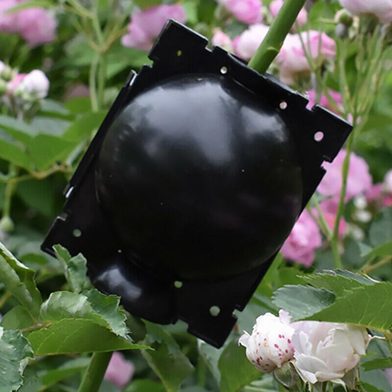 10pcs S/M/L Black Plant rooting device high pressure propagation ball ...