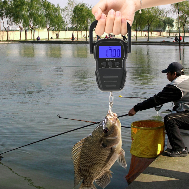 Hanging Weight Scales 50Kg Digital Electronic Weighing Scales Accurate ...