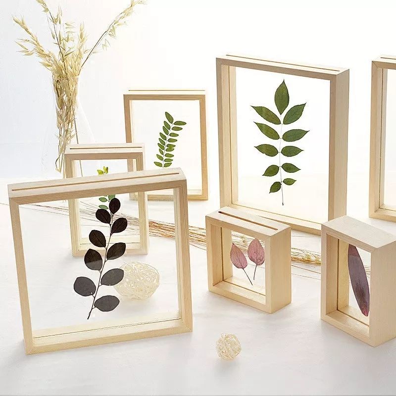 Wooden Plant Specimen Frame Picture Photo Frame | Shopee Philippines
