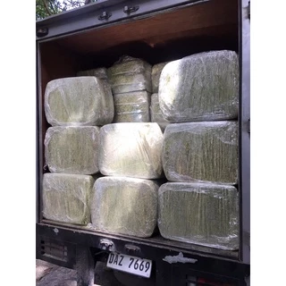 Shop hay for Sale on Shopee Philippines