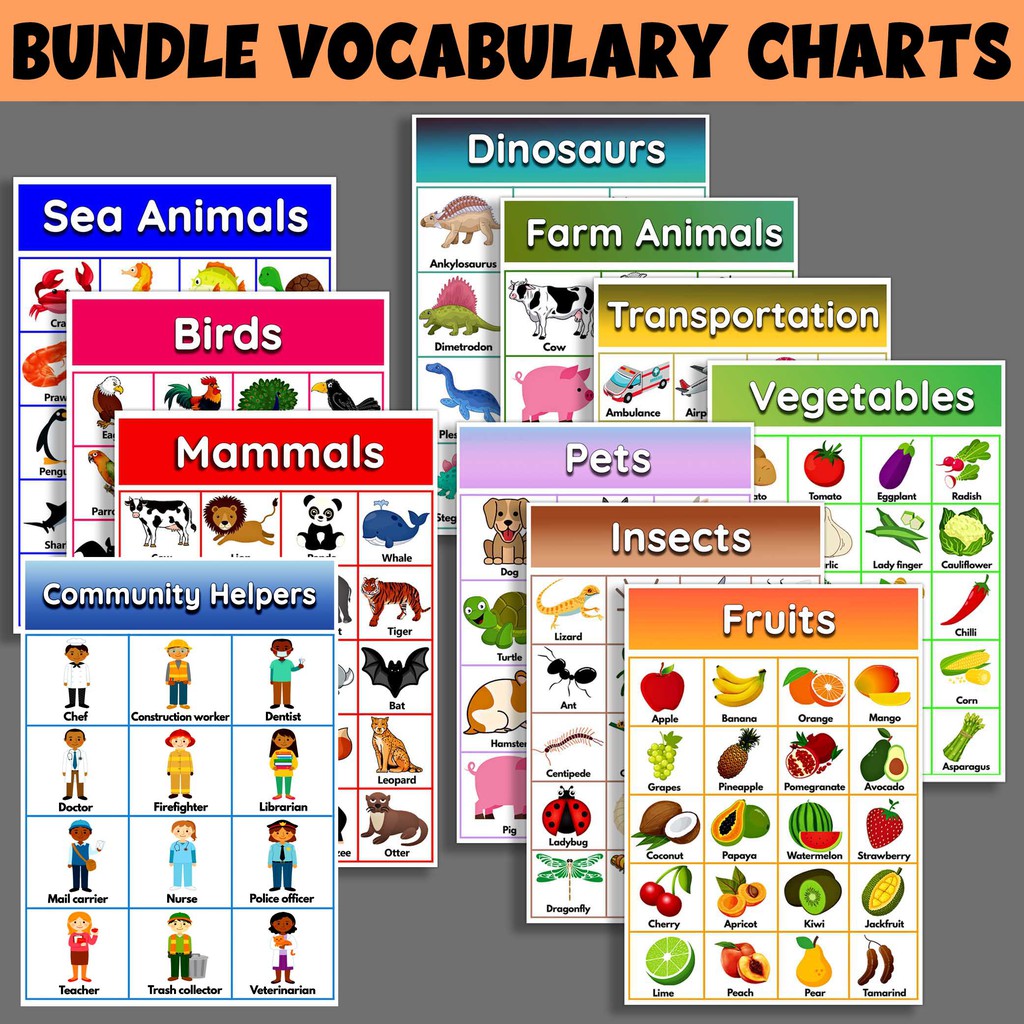 BUNDLE Educational Charts for Vocabulary Words - Transportation ...